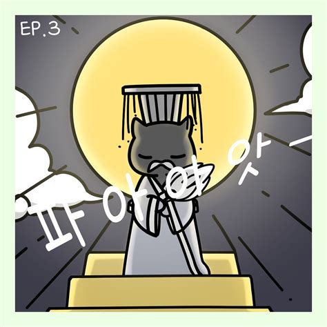 포에버캣 국내 1등 고양이 건강 정보 커뮤니티🐈 묘생 30년 장수냥이 영희와 장수와 함께 해요💚 Forevercat2021 • Instagram Photos