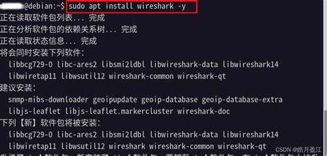 linux debian11安装wireshark教程 linxu wireshark 安装客户端 csdn博客