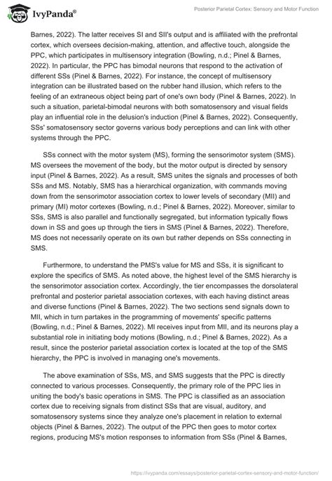 Posterior Parietal Cortex Sensory And Motor Function 1201 Words Essay Example