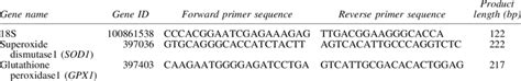 Summary Of Quantitative Polymerase Chain Reaction Primers Of Target And Download Scientific