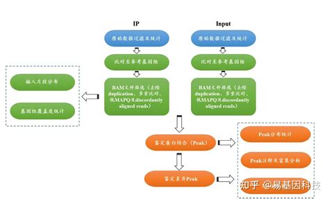 易基因｜染色质免疫共沉淀测序 Chip Seq 分析实验全流程 知乎