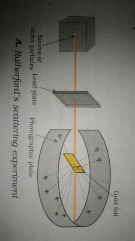 Rutherford Alpha Particle Scattering Experiment Rutherford Alpha Particle Scattering Experiment