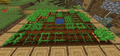 Farmland In Minecraft