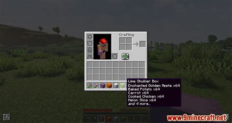 Shulker Tooltip Mod Learning About The Shulker Mc Mod Net