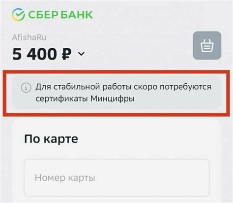 Для оплаты через Сбербанк стали требовать сертификат Минцифры Обязательно ли его устанавливать
