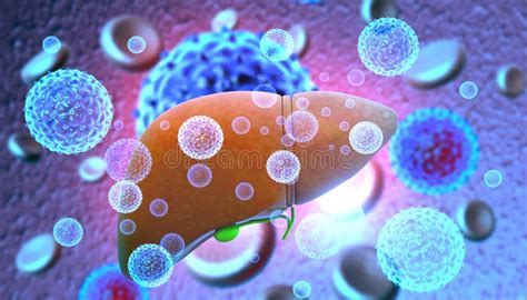 Hepatitis Viruses Set Structure Of Hepatitis A B C D E Viruses With Parts Stock Vector