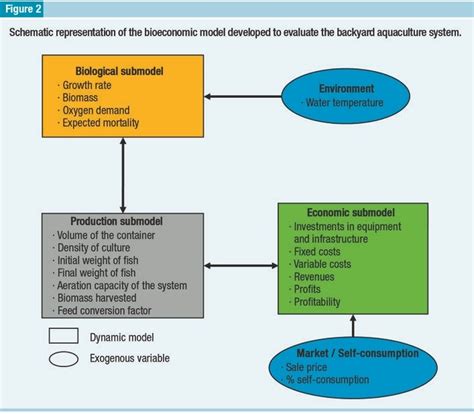 A Bioeconomic Model For The Evaluation Of A Backyard Aquaculture System For Tilapia Oreochromis
