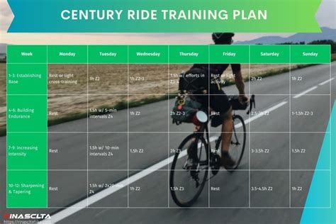 Cycling Training Plan Training Zone Plans For All Level Cyclists And