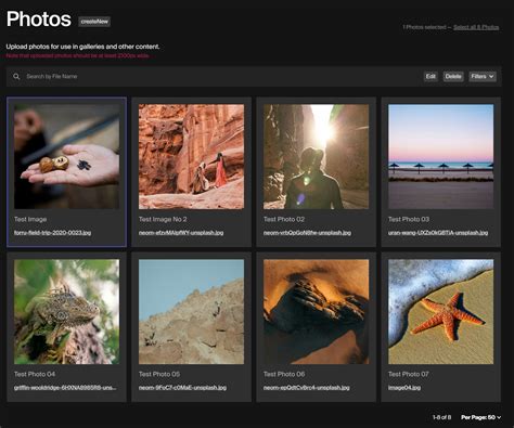 GitHub Infonomic Payload Gallery View Payload CMS Gallery Collection View