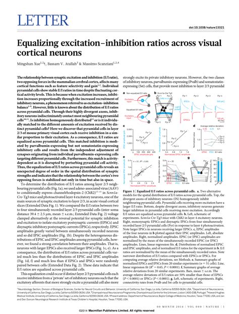 Pdf Equalizing Excitation Inhibition Ratios Across Visual Cortical Neurons