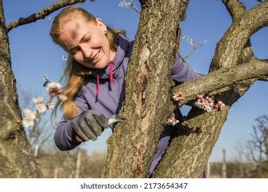 Overgrown Tree Pruning Photos Images Pictures Shutterstock