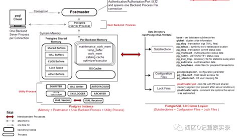 简单对比oracle 多租户和postgresql 多租户 墨天轮 简单对比oracle 多租户和postgresql 多租户 墨天轮