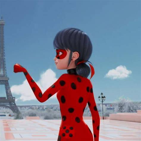 Matching Icon Ladynoir Miraculous Ladybug Comic Catnoir And Ladybug