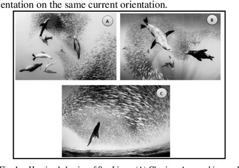 Figure 1 From Sea Lion Optimization Algorithm Semantic Scholar