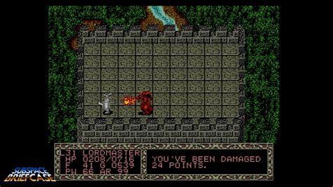 Fatal Labyrinth Subspace Briefcase