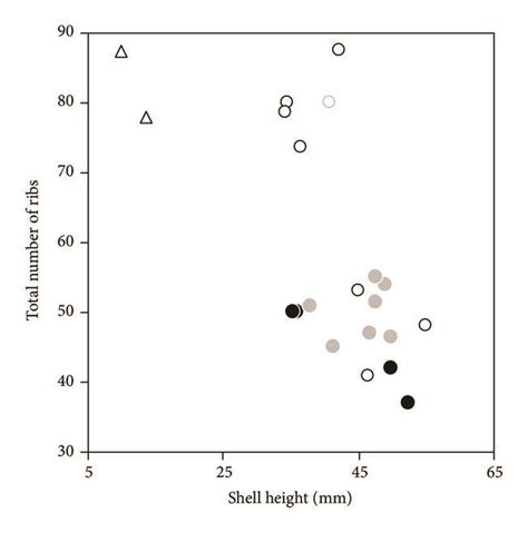 A Relationships Between Shell Rib Numbers And Shell Height Black Download Scientific Diagram
