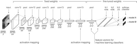 Model A And B Schematic This Convolutional Neural Network Architecture Download Scientific