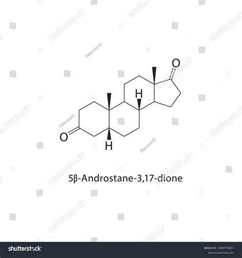 5β Androstane 317 Dione Skeletal Structuresteroid Ketone Compound Schematic Stock Vector