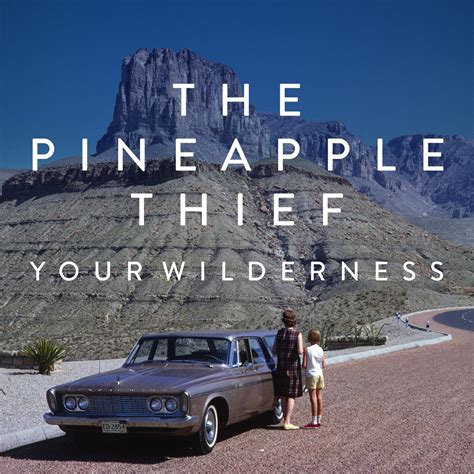 ‎your Wilderness Album By The Pineapple Thief Apple Music