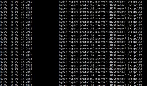 The Binary File Compiled By The Cargo Debug Is Over 1 Gb The Rust Programming Language Forum