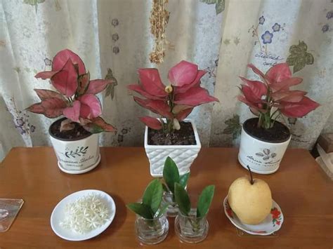 မင်းသိင်္ခ Min Thein Kha မိမိတို့ရဲ့ မြန်မာ၊ အင်္ဂလိပ်ခုနစ်သက္ကရာဇ်များကို မင်းသိင်္ခ ဗေဒင