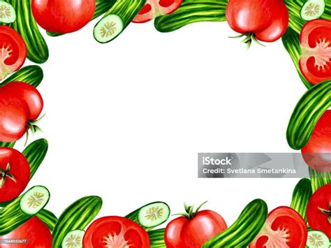 손으로 그린 토마토와 오이의 프레임 수채화 기법의 마커 그림 가을에 대한 스톡 벡터 아트 및 기타 이미지 가을 개체 그룹