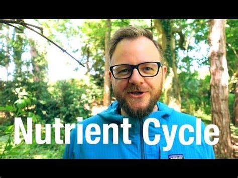 Explaining Most Of The Nutrient Cycle Nutrient Cycle Environmental Science Explained