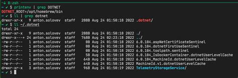 Move Dotnet Dir Away From Home · Dotnet Runtime · Discussion 74465 · Github