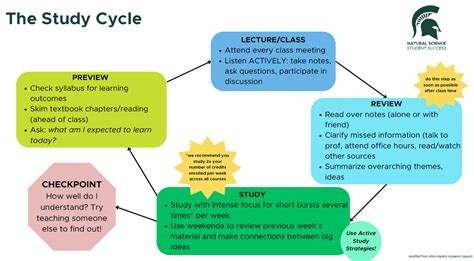 The Study Cycle