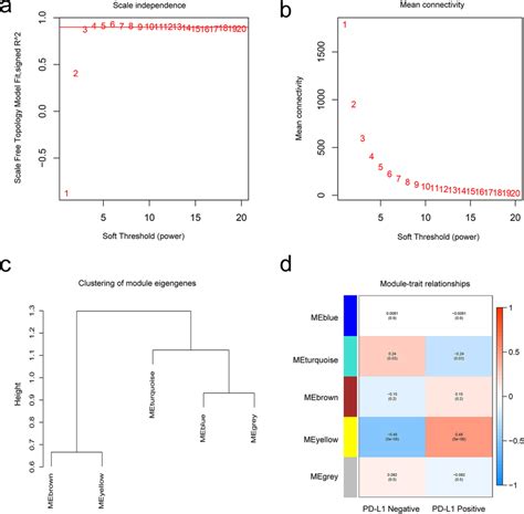 WGCNA Showing The Module Genes A And B The Fit Soft Thresholding Power Download Scientific