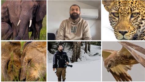 Habit Fotografi I Botës Së Egër “ja Kush është Kafsha E Pazakontë Që Kapi Kamera Në Territorin