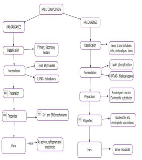 Cbse Class 12 Chemistry Haloalkanes And Haloarenes Concept Map