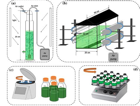Schematics Of The Experimental Setup A Batch Cultivation Download Scientific Diagram