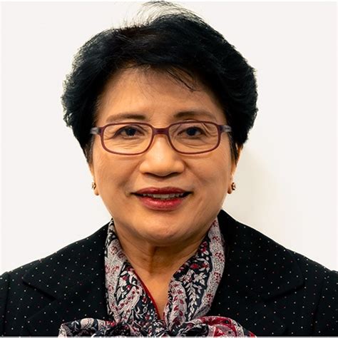 Board Of Directors Didipio Mine