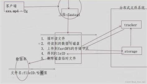 C 网络编程项目fastdfs分布式文件系统（五 Nginxfastdfsc 分布式软件 Csdn博客