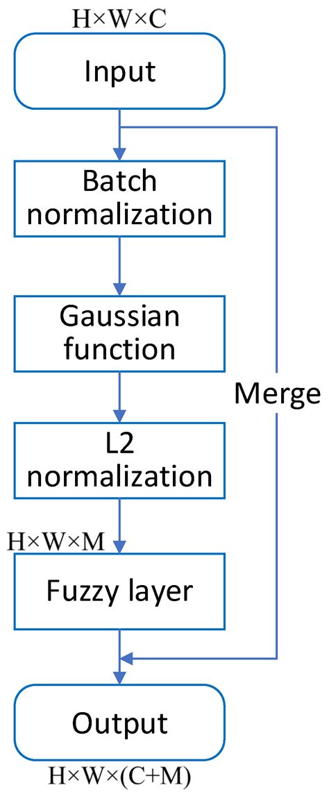 a fuzzy transformer fusion network fuzzytransnet for medical image