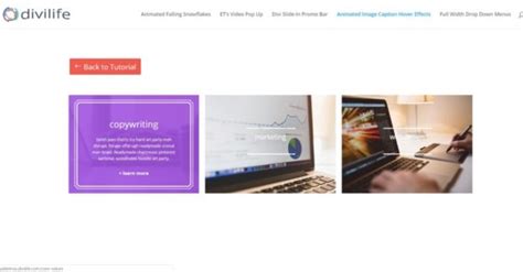 7 Unique Ways To Add Hover Effects To Divi • Divi Cake Blog