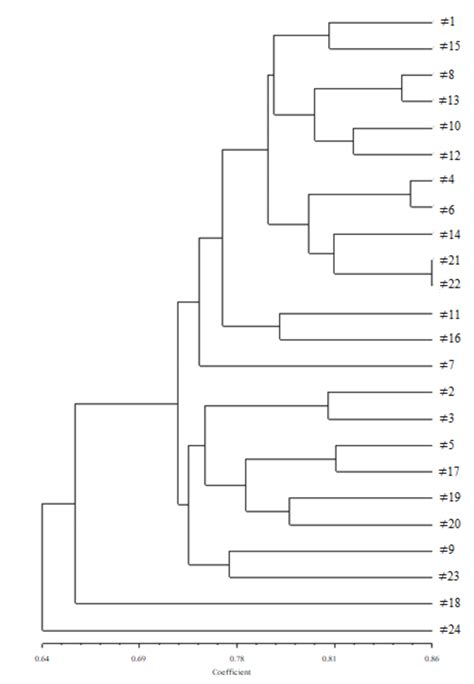 dendrogram generated by upgma method using issr markers for tomato