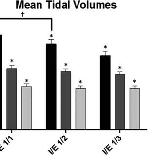 Comparison Of Average Of Tidal Volumes VT Tidal Volume ML RR Download Scientific Diagram