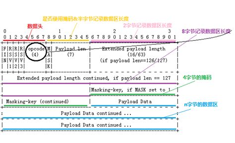 Linux下c语言实验websocket通讯 含客户端和服务器测试代码linux使用websocket通信案列 Csdn博客