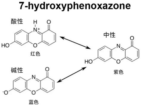 化学老师没讲过的故事你避不开的石蕊 知乎