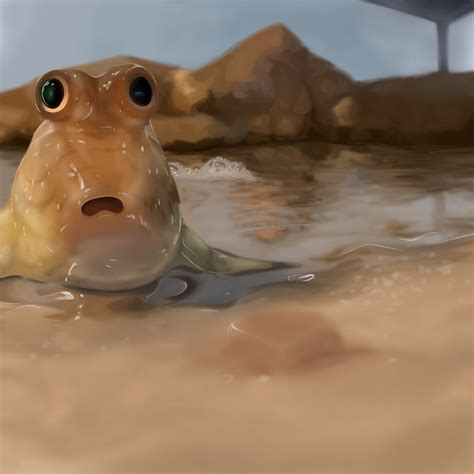 Artstation Mudskipper In Shock