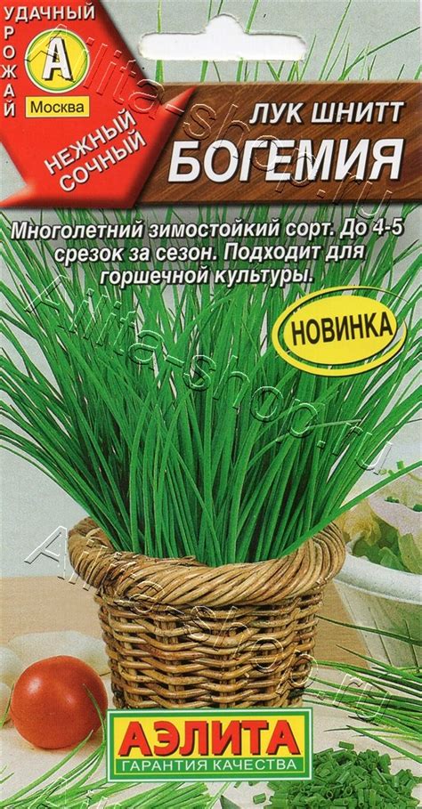 Семена лука купить - Супер Огород - страница 1