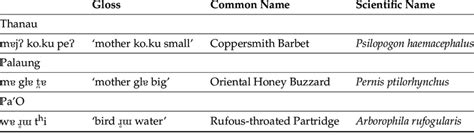 Binomial Nomenclature Examples Of Animals