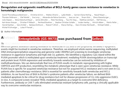 Syk抑制剂 Syk Inhibitor