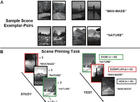 Sample Stimuli And Priming Task Design A Examples Of Man Made