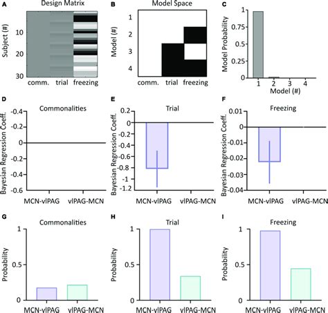 Parametric Empirical Bayesian Peb Analysis Of Cerebellar Vlpag