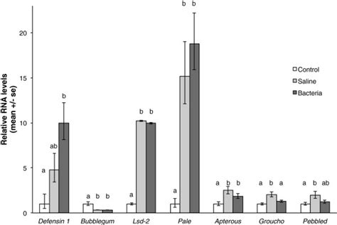 Quantitative Real Time PCR Validation Of Expression Patterns Of Download Scientific Diagram