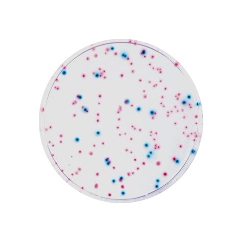 Chromagar™ Ecc Chromagar