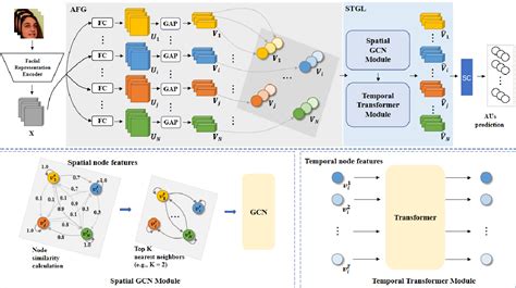 Figure 1 From Spatio Temporal Au Relational Graph Representation Learning For Facial Action
